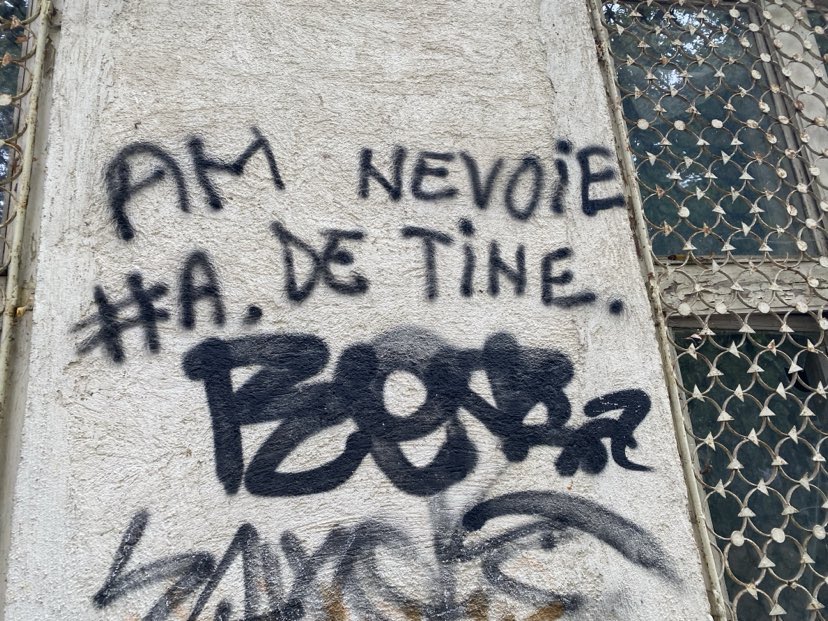 Poza zilei 9 aprilie 2024 - Botosaneanul