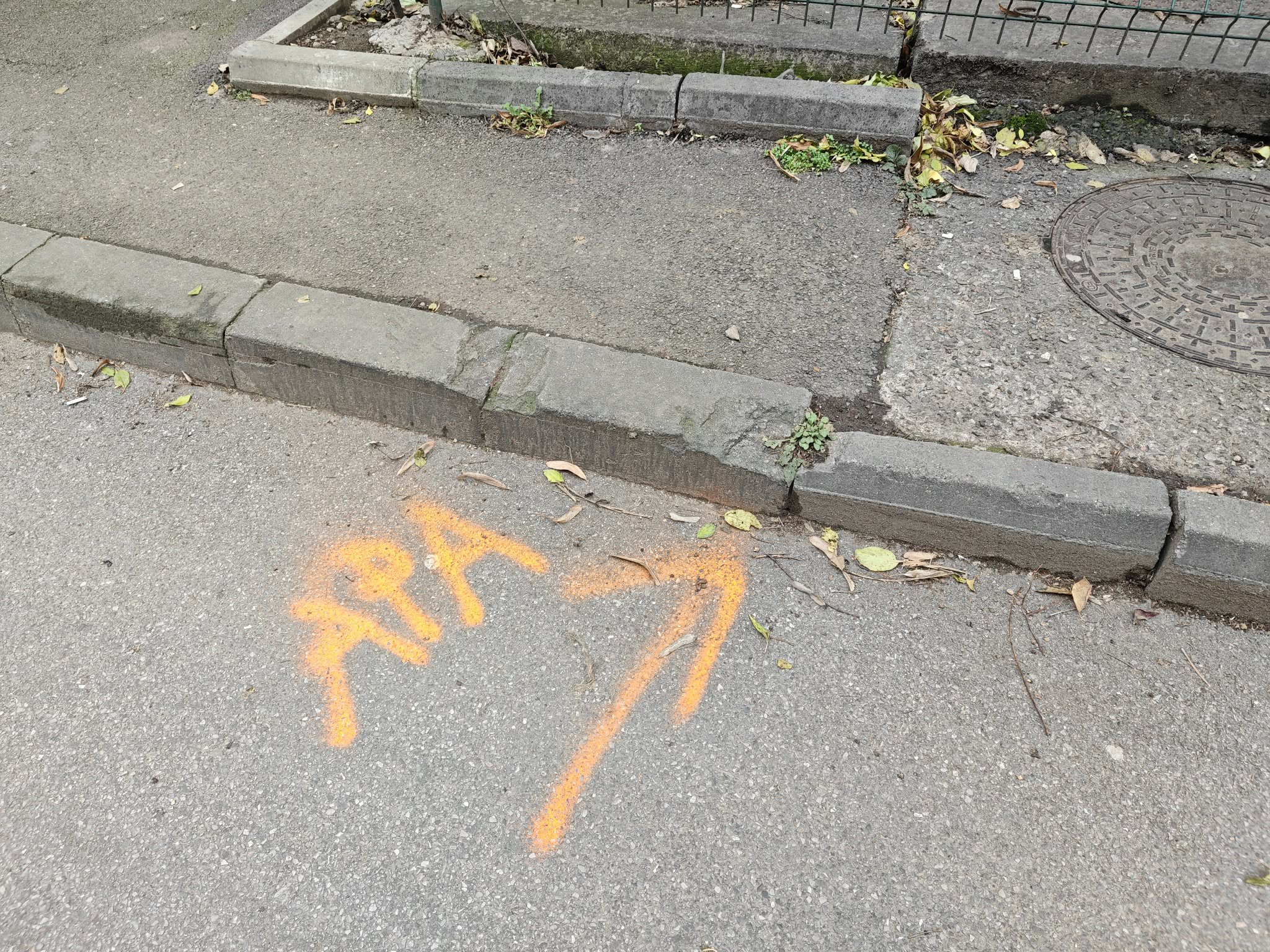 Poza zilei 9 decembrie 2025 - Botosaneanul