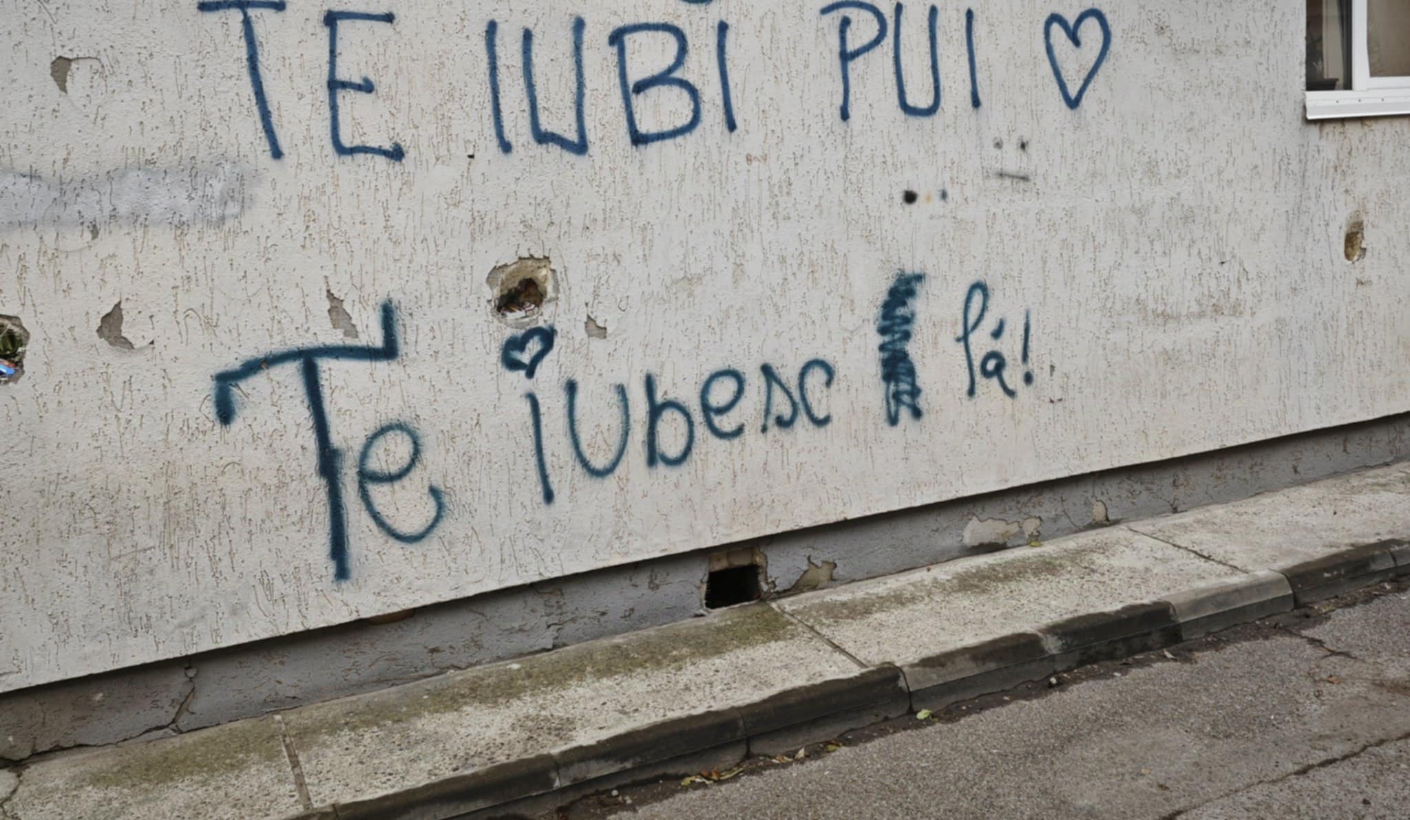 Poza zilei 4 decembrie 2024 - Botosaneanul