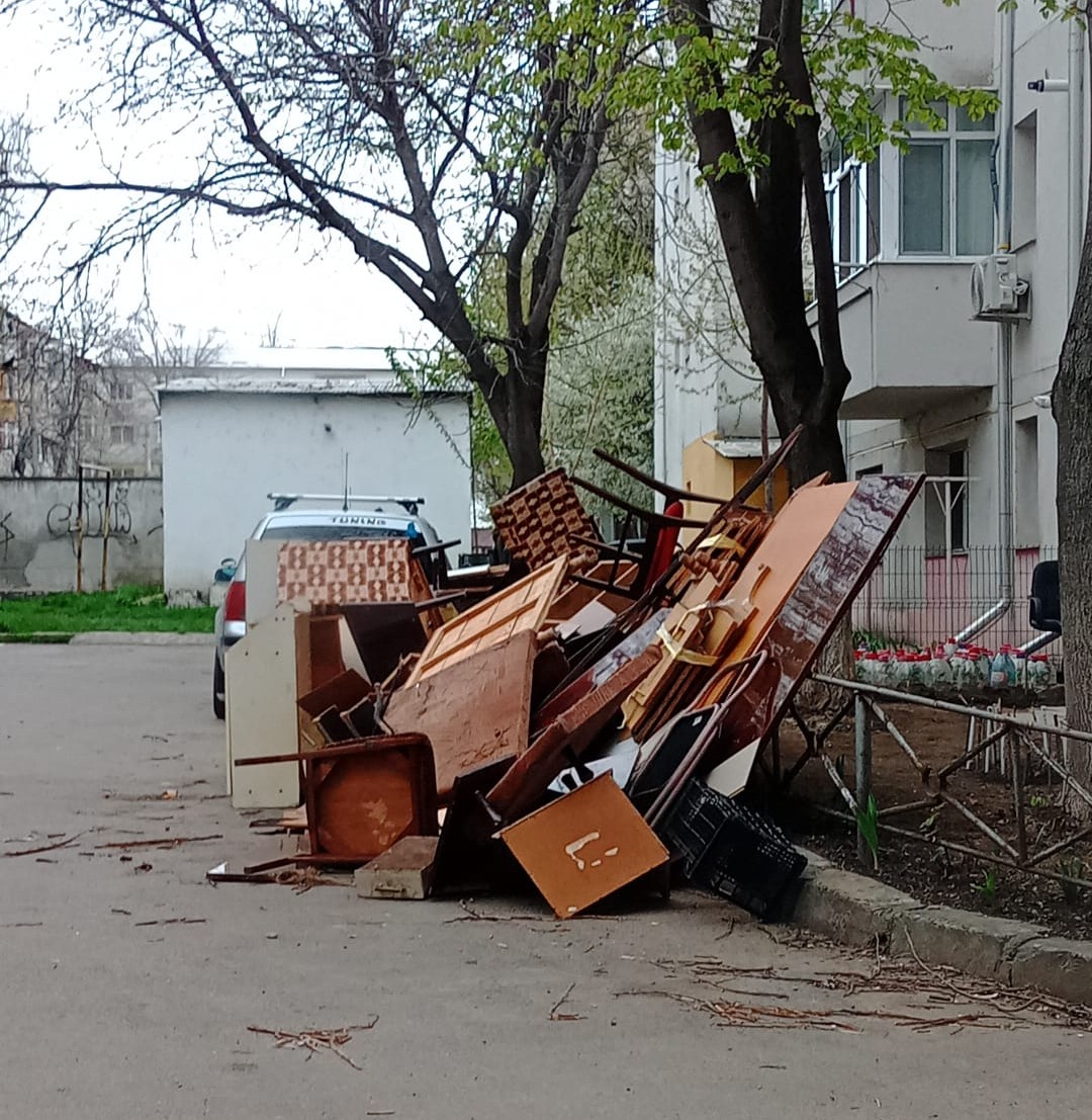 Poza zilei 17 aprilie 2025 - Botosaneanul