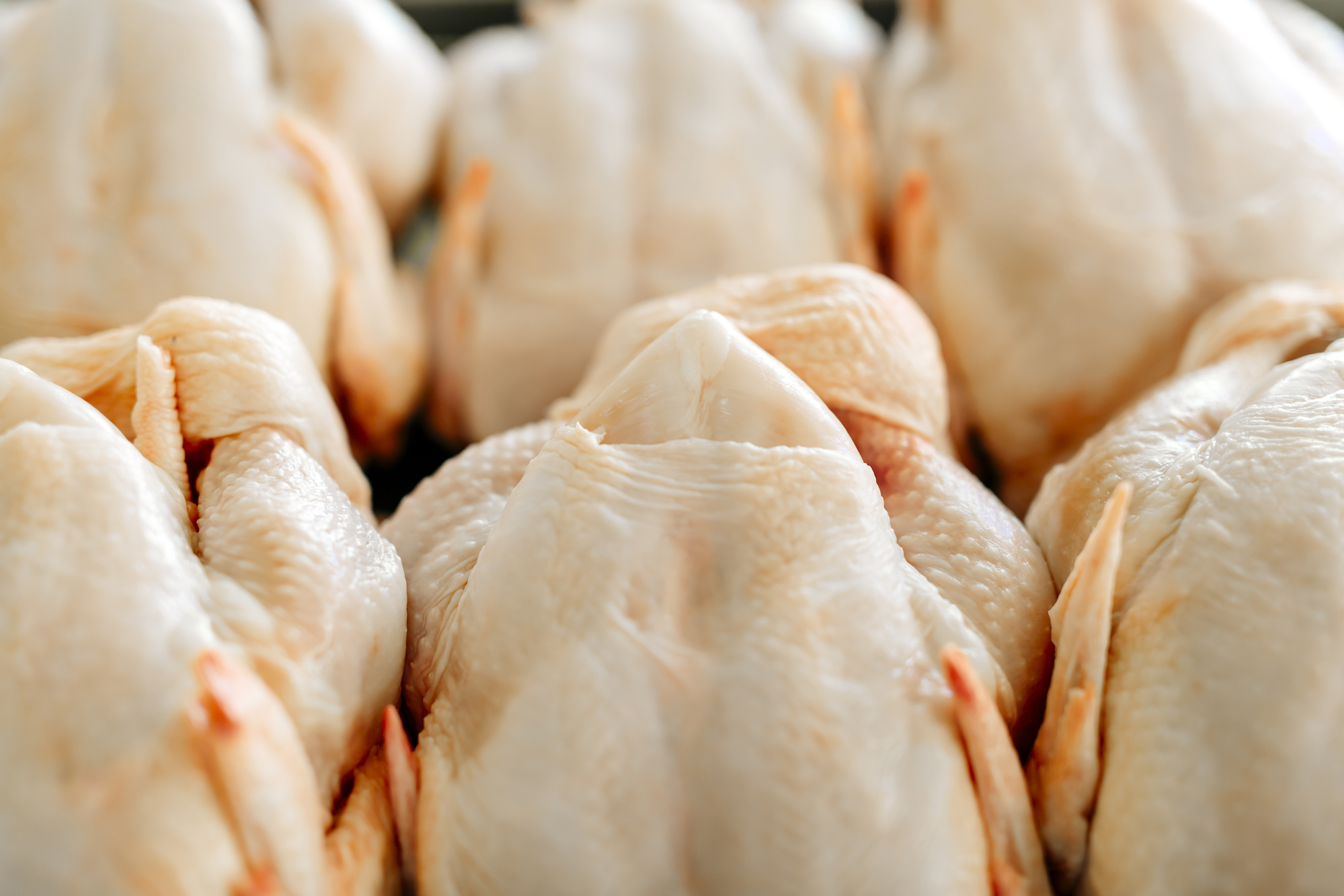 Directorul ANPC, MESAJ despre cazul „puiului vopsit”: Noi nu vom ...