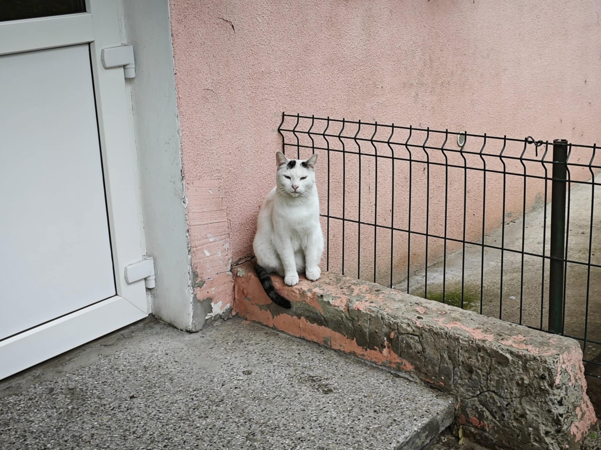 Poza zilei 5 noiembrie 2024 - Botosaneanul