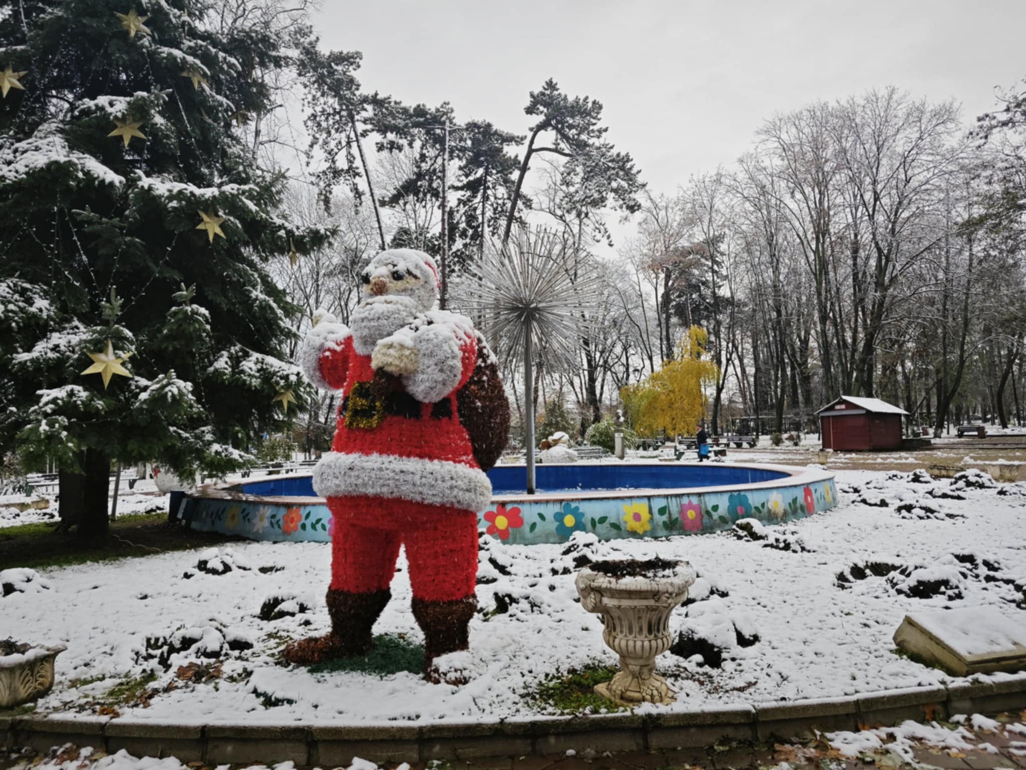 Poza zilei 22 noiembrie 2024 - Botosaneanul