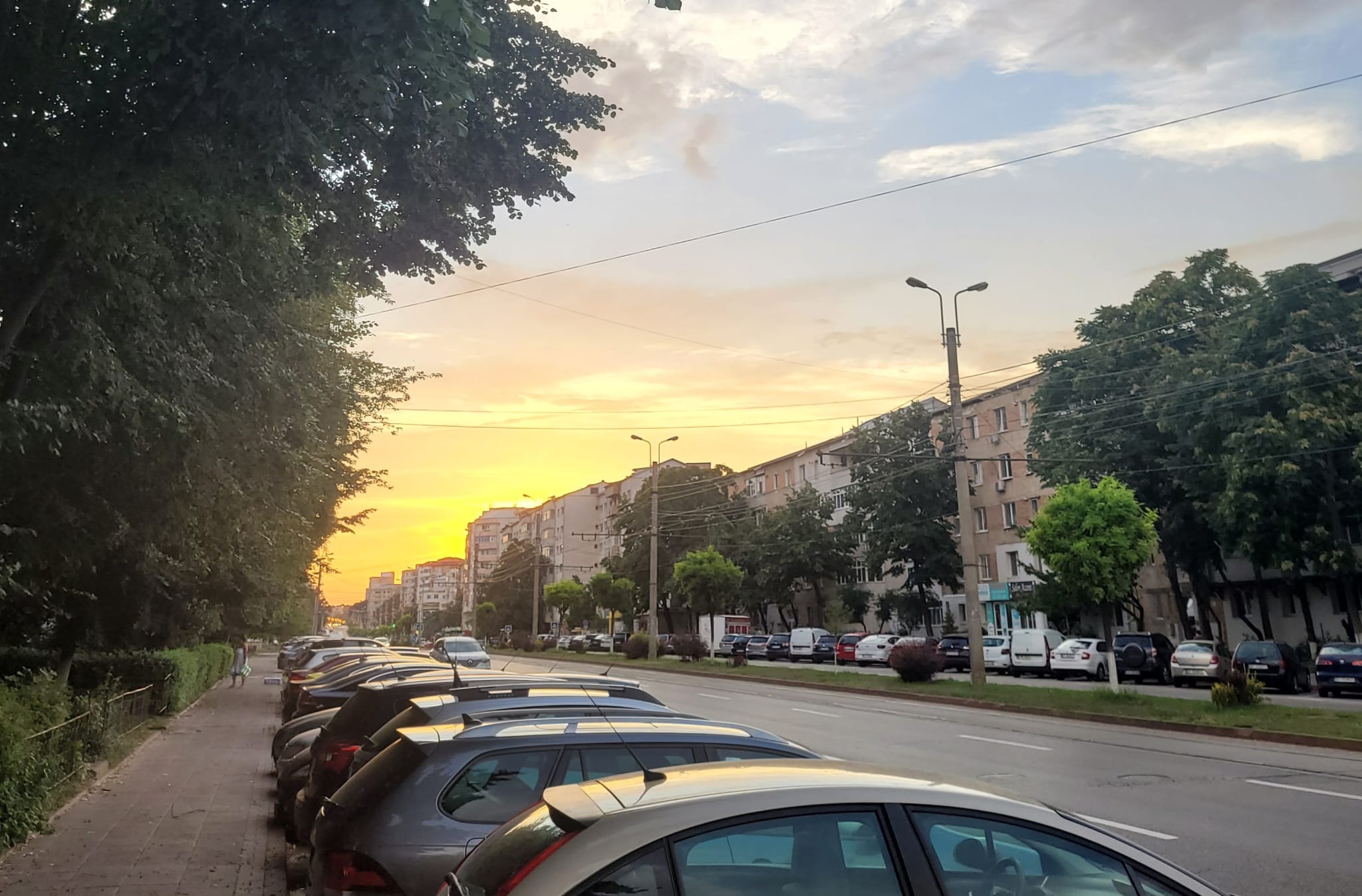 Poza zilei 26 iulie 2024 - Botosaneanul