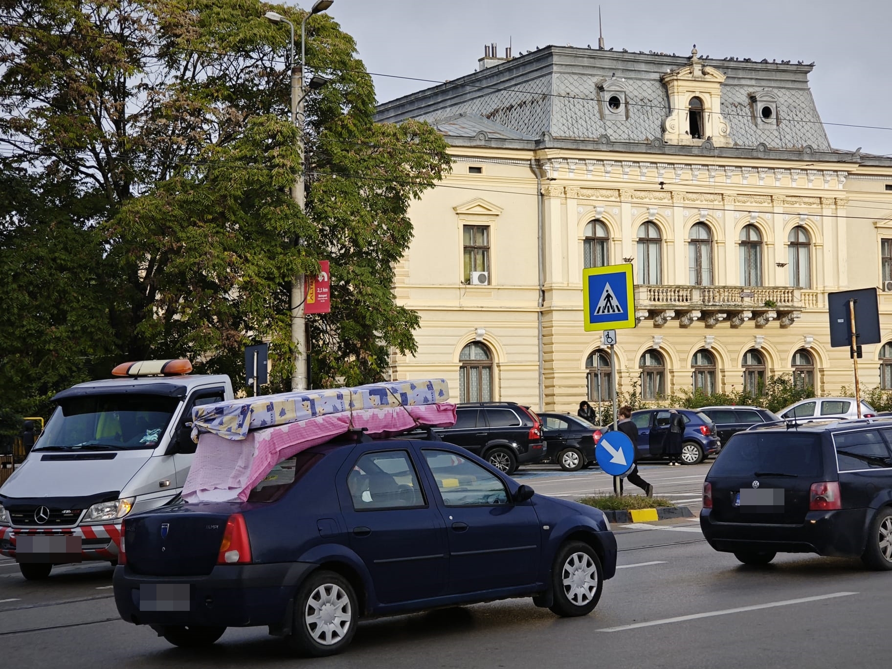 Poza zilei 11 noiembrie 2024 - Botosaneanul