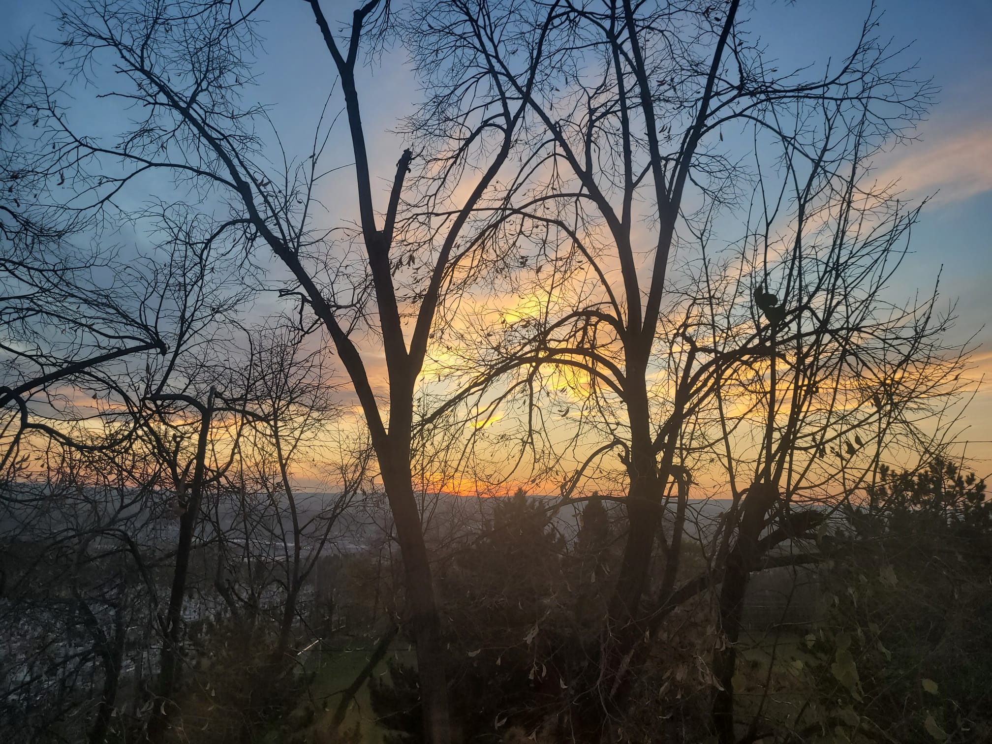 Poza zilei 20 noiembrie 2024 - Botosaneanul