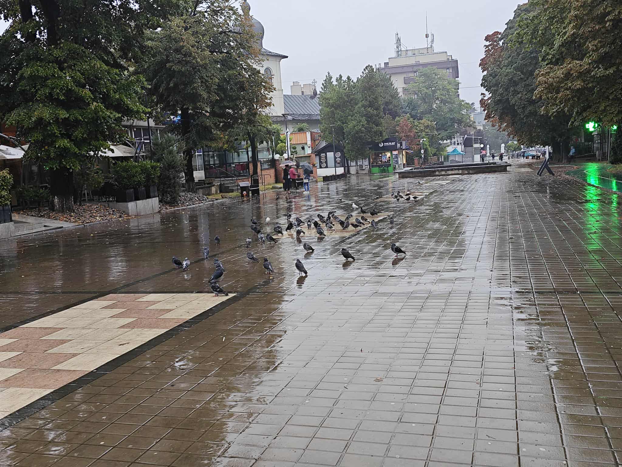 Poza zilei 9 octombrie 2025 - Botosaneanul