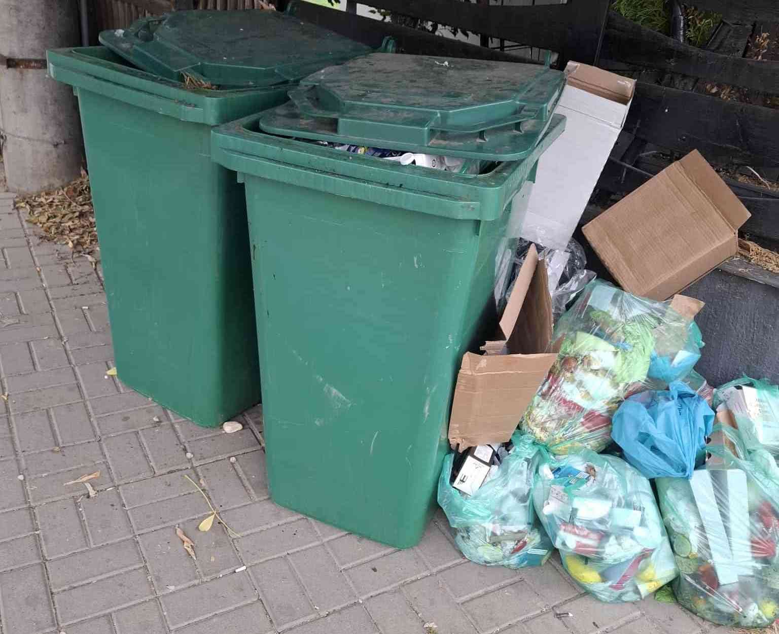 Poza zilei 15 septembrie 2025 - Botosaneanul