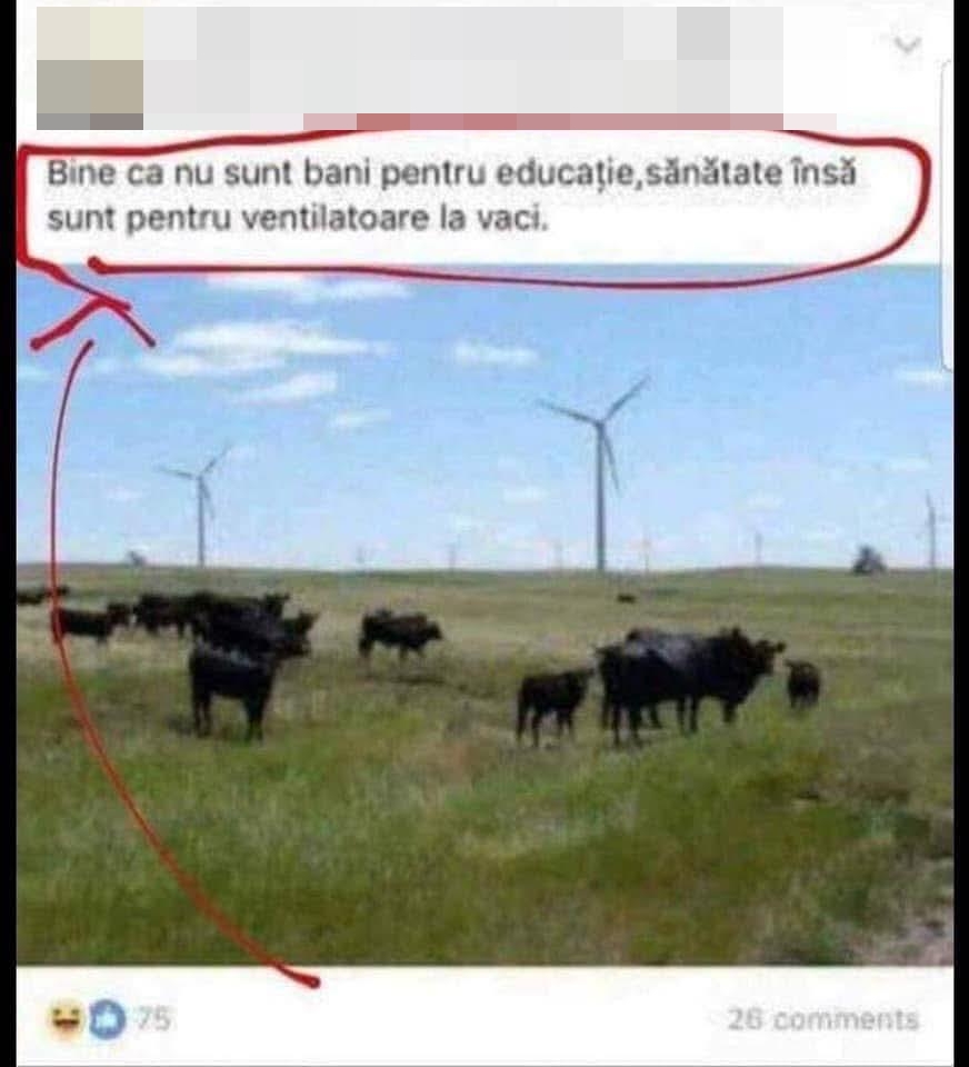 Poza zilei 30 septembrie 2025 - Botosaneanul