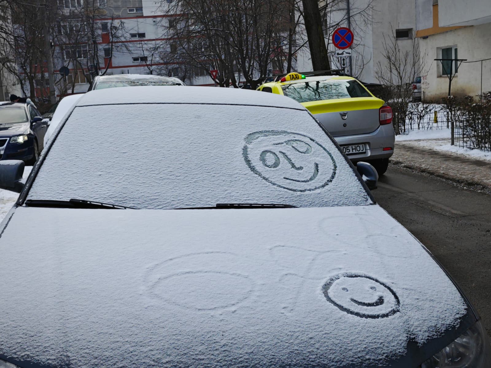 Poza zilei 21 ianuarie 2026 - Botosaneanul