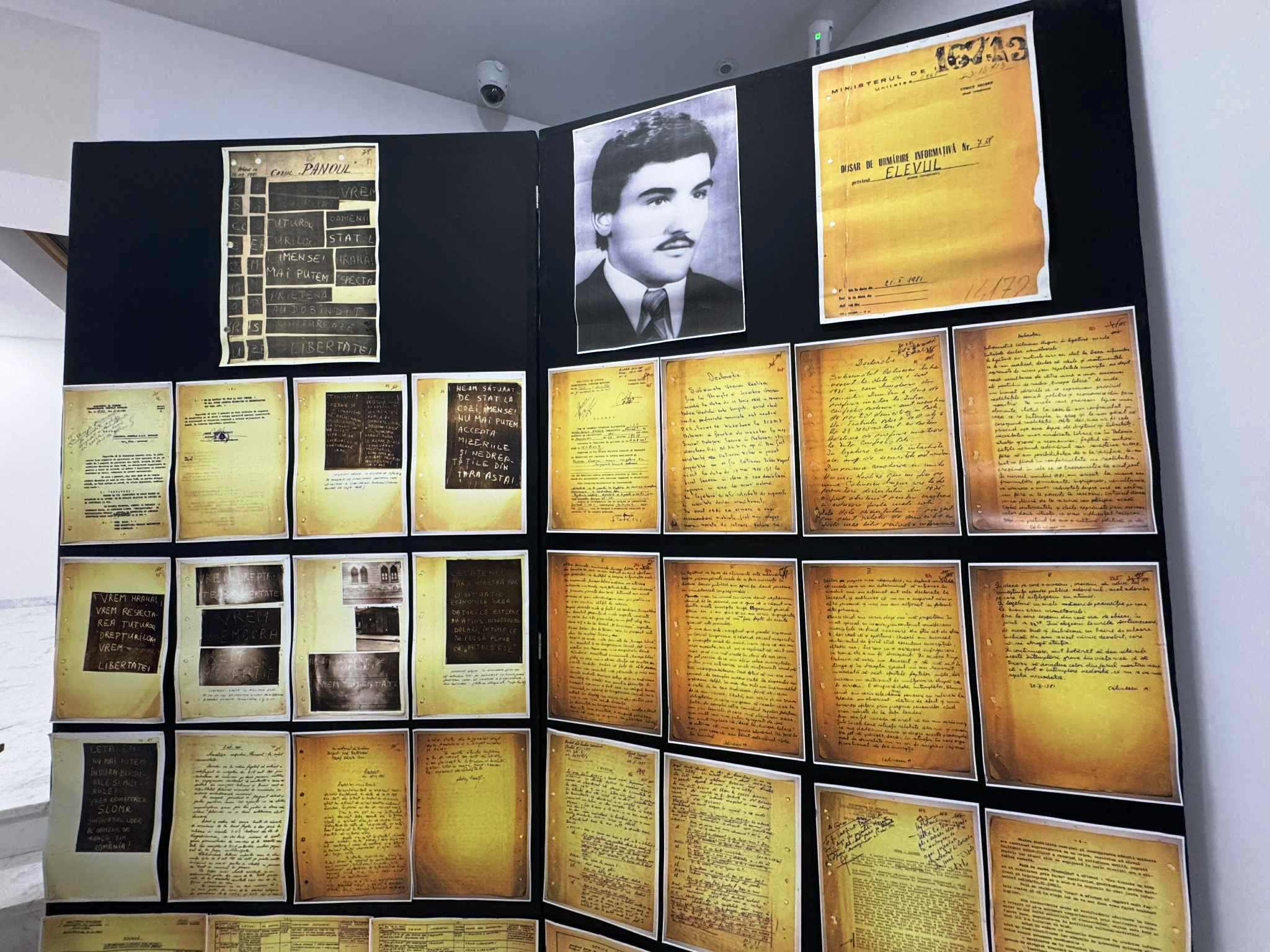 Doamne, ce călăi! - Botosaneanul