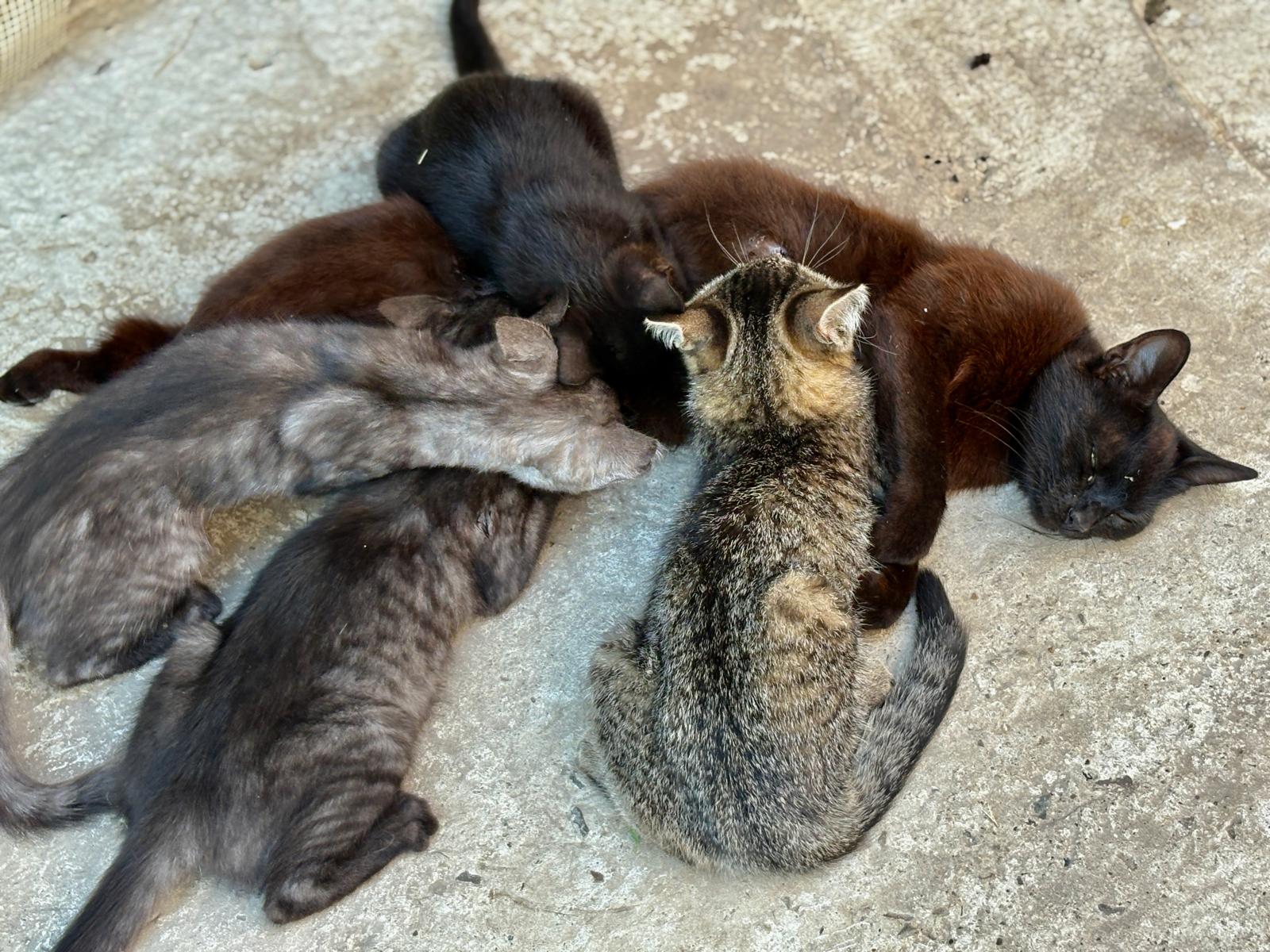 Poza zilei 27 noiembrie 2025 - Botosaneanul