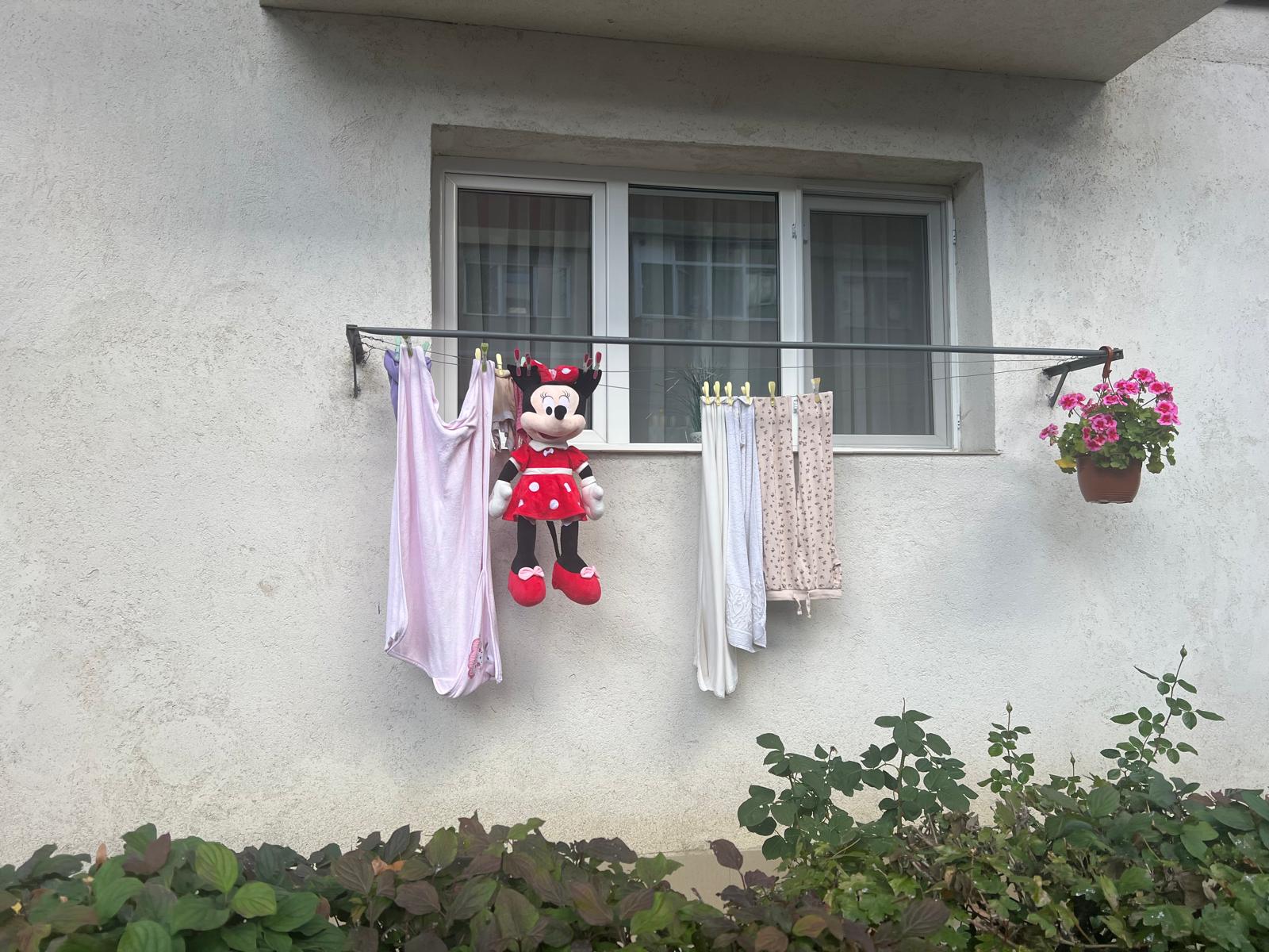 Poza zilei 26 noiembrie 2025 - Botosaneanul