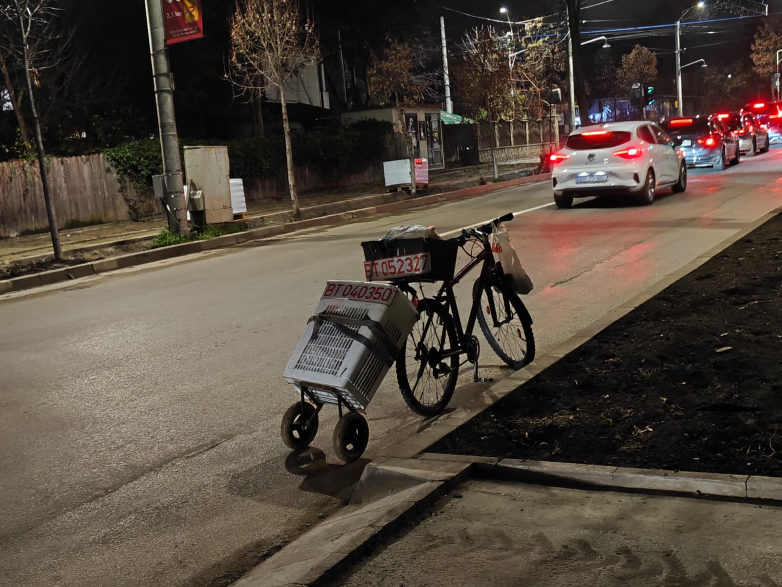 Poza zilei 3 decembrie 2025 - Botosaneanul