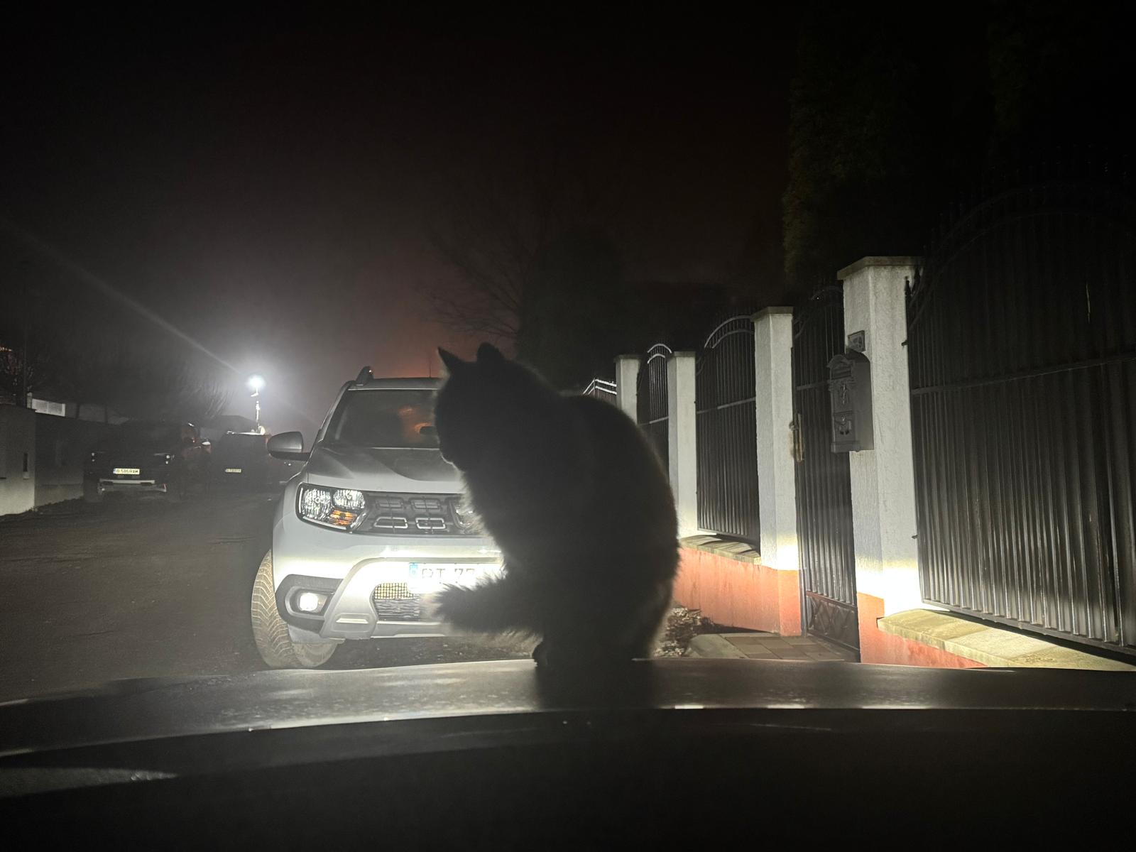 Poza zilei 15 decembrie 2025 - Botosaneanul