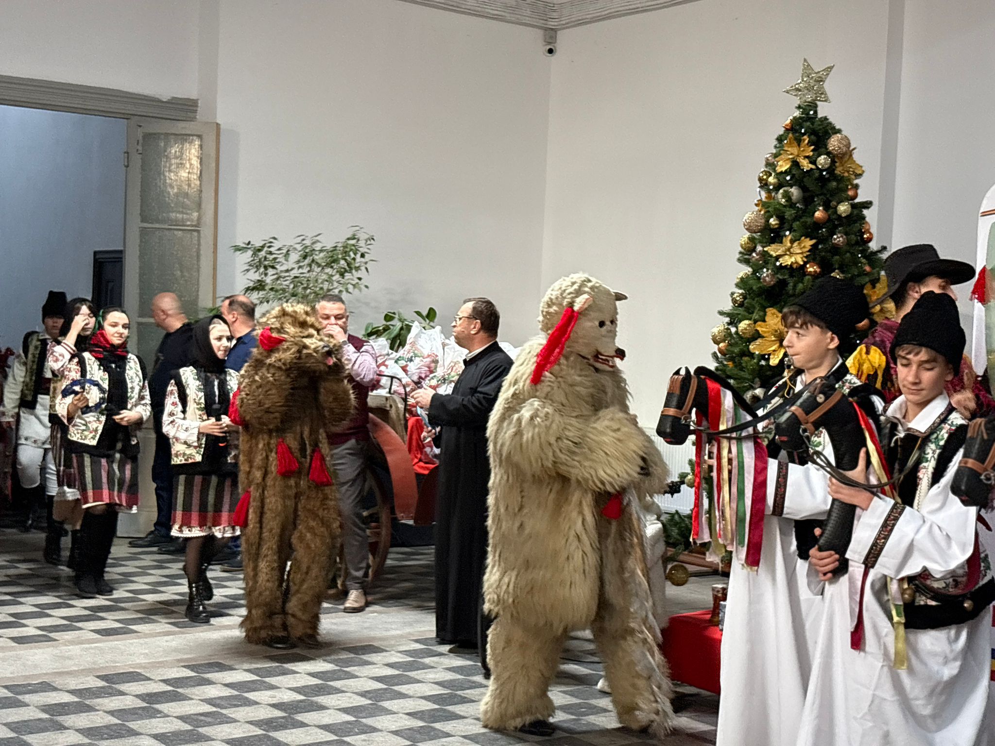 Poza zilei 17 decembrie 2025 - Botosaneanul