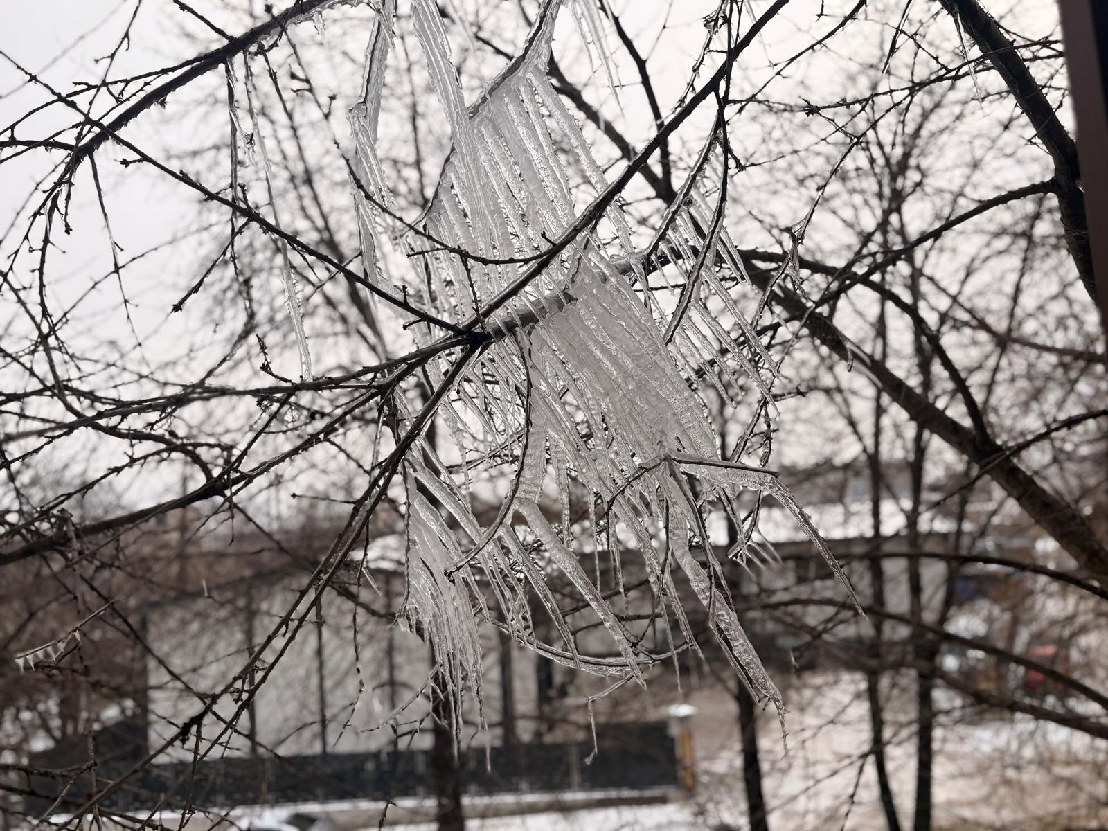 Un nou COD GALBEN a fost emis de meteorologi pentru Județul Botoșani ...