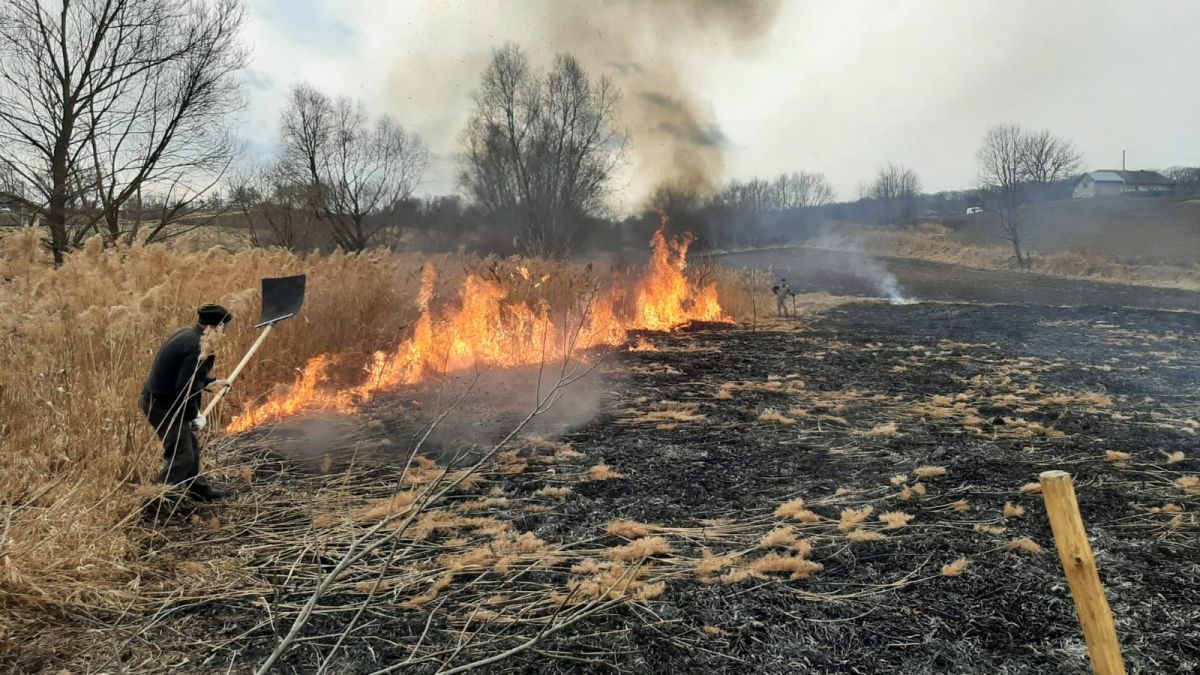 NOUA incendii in cateva ore la Botosani: Flacari uriase pe campuri ...