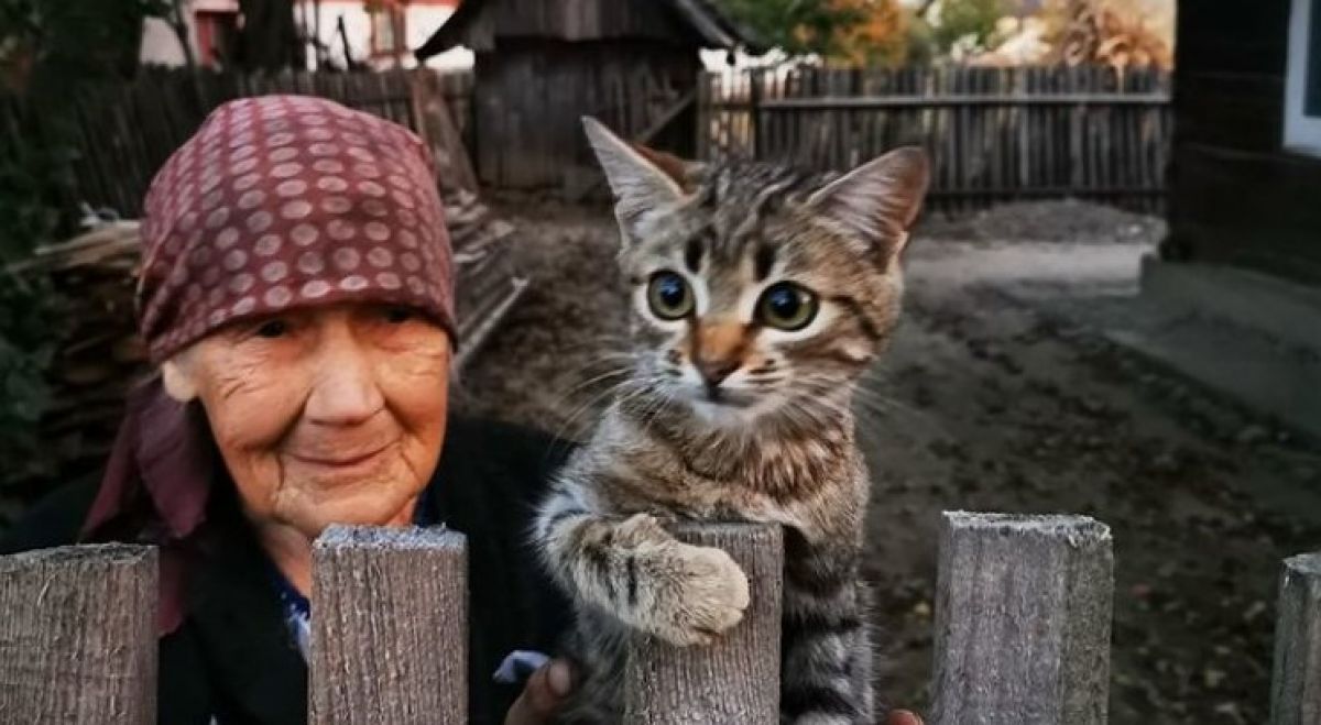 O bunica si-o pisica: POVESTEA fotografiei care a sensibilizat tot ...
