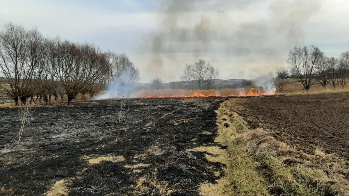 NOUA incendii in cateva ore la Botosani: Flacari uriase pe campuri ...