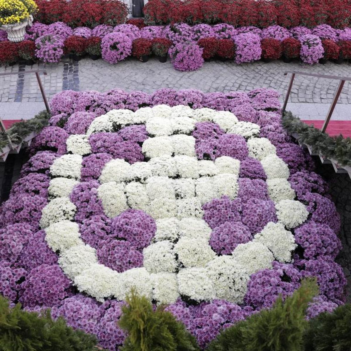 Peste 35.000 de pelerini la rand pentru a ajunge la racla cu moastele ...